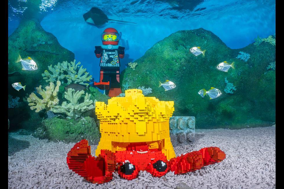 LEGOLAND: Deep Sea Adventure reopens with new pictures | Group Leisure ...